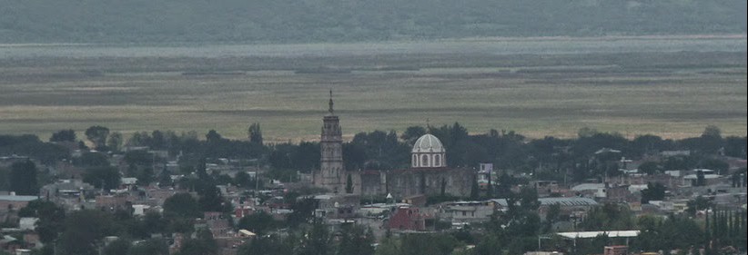 TULE EN NUESTRAS MANOS